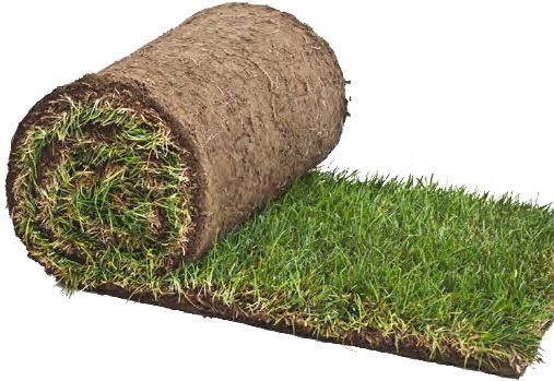 Nitrate measurement in turf grass - Application examples | Pocket ...