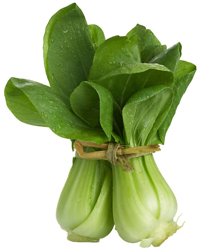 Potassium Determination in Plant Tissue - Pocket Tester Shop