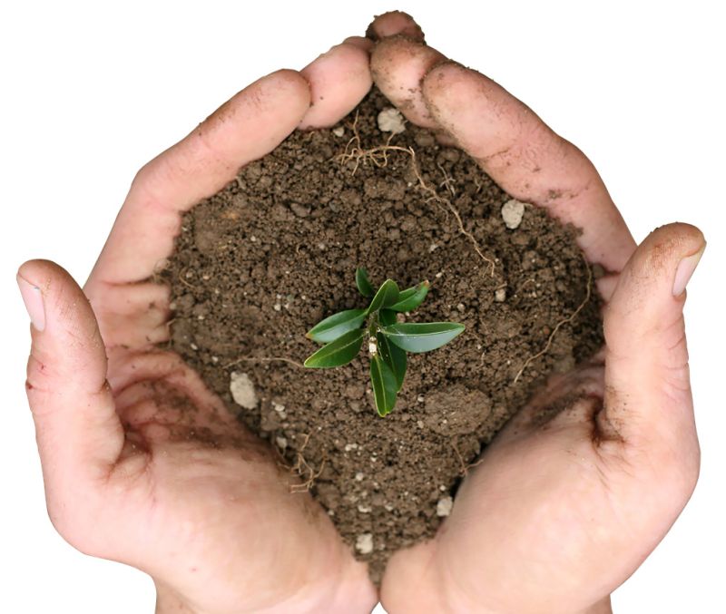 Measurement of potassium in soil - Pocket Tester Shop