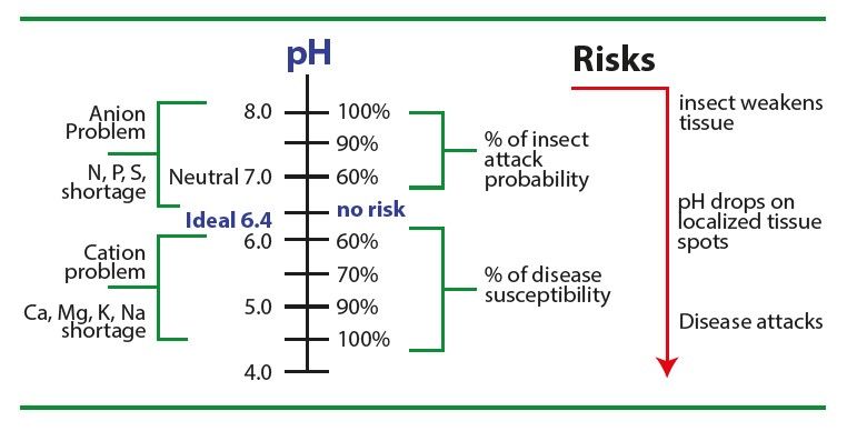 Measurement of pH in Plant Tissue - Application examples | Pocket ...